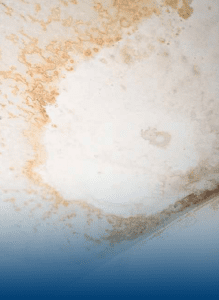 Home - Stallion Restoration